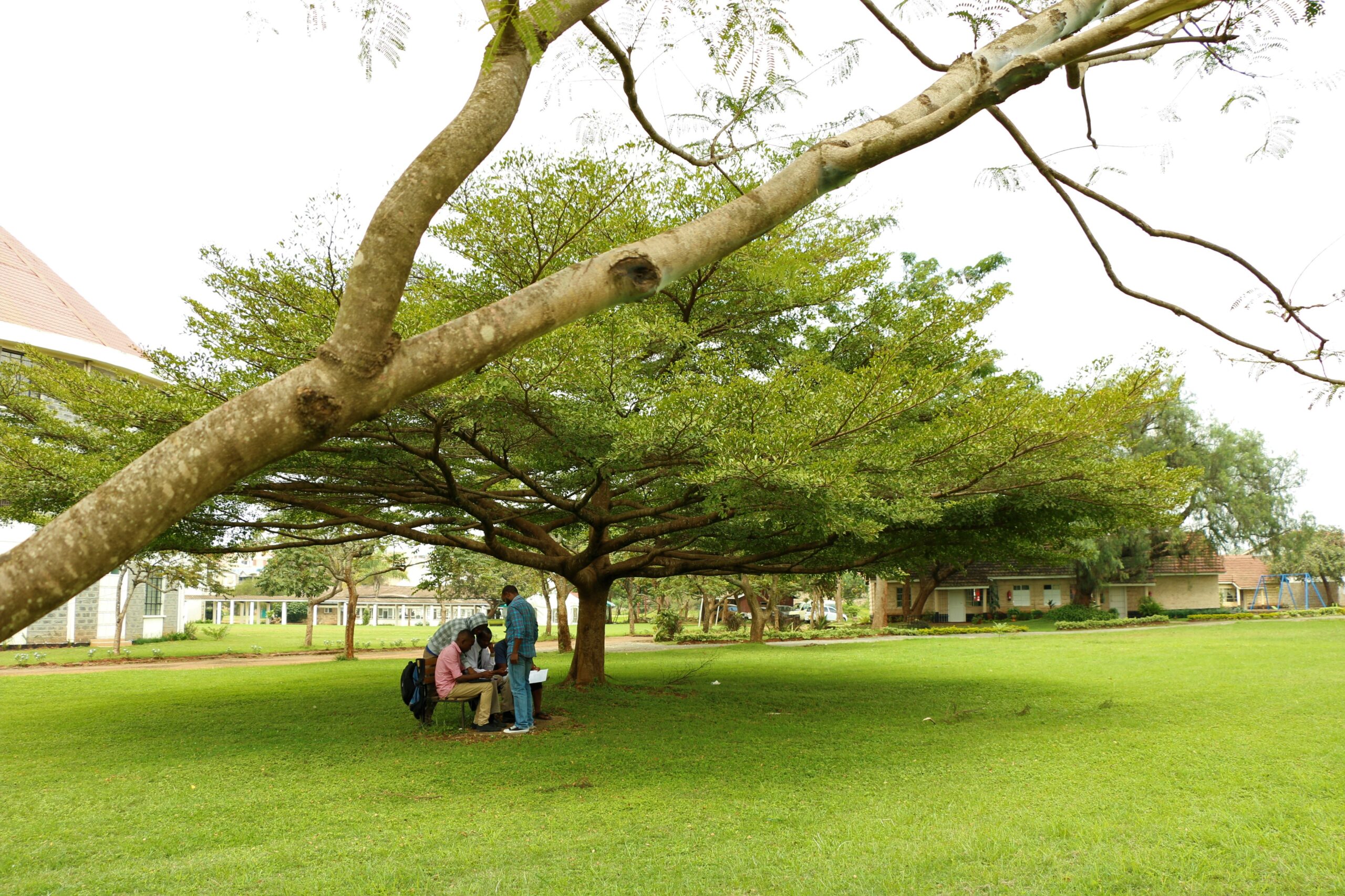 PAC Homepage - Pan Africa Christian (PAC) University